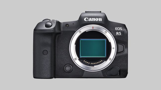 Canon goes 8K! New Canon EOS R5 has 8K video, IBIS, 20fps + dual card ...