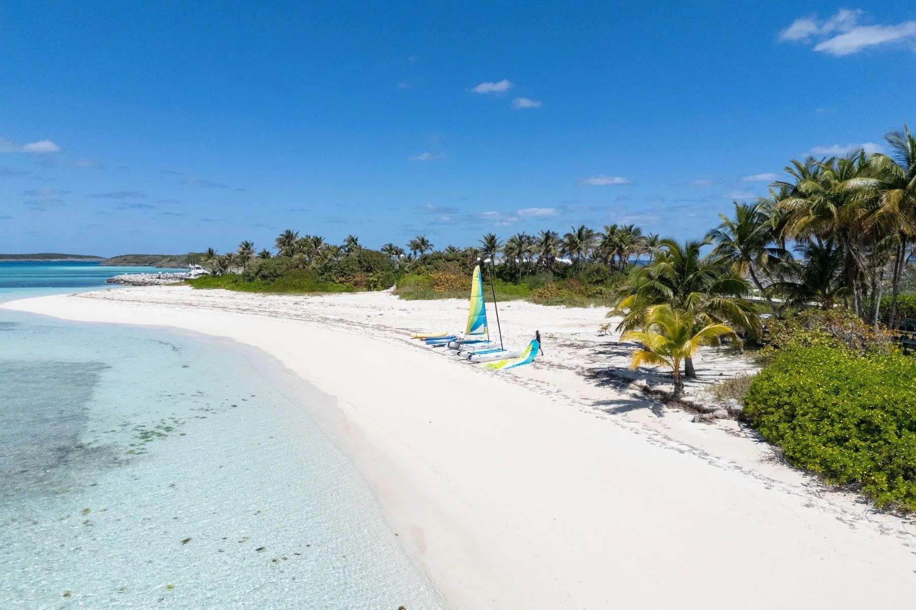 Dawn Chorus: Churchill's swimming pool, the end of puppy smuggling ...