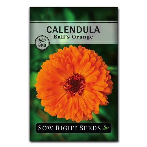 7 flowers to sow in March plus tips for planting seeds | Homes and Gardens