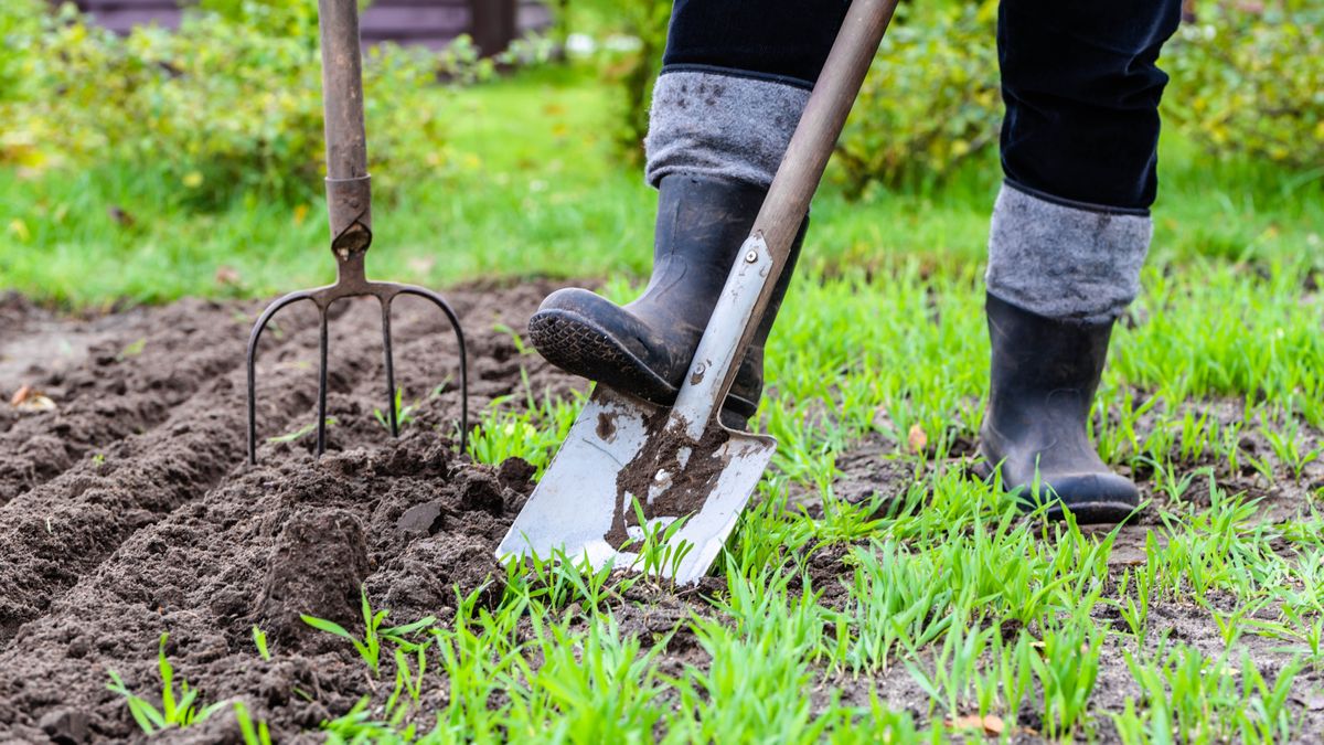 How to plant grass seed and get a greener yard | Tom's Guide