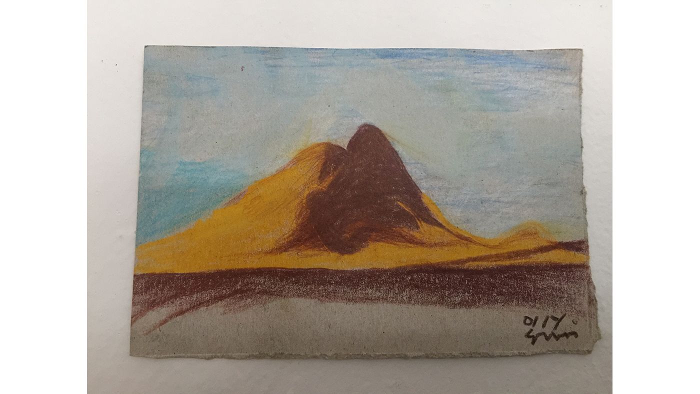 Artists Olly and Suzi on their latest expedition | The Week