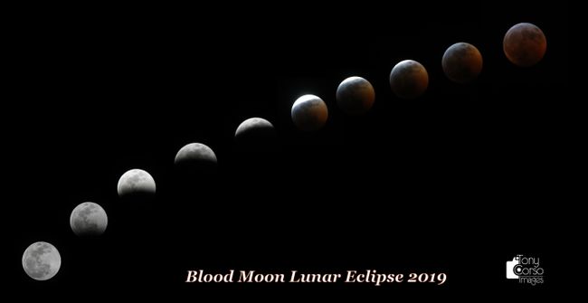The Super Blood Wolf Moon of 2019 Looks AMAZING in These Pics! | Space