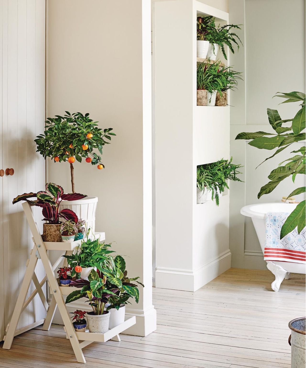 Can You Grow Plants in a Bathroom with No Windows? | Homes and Gardens