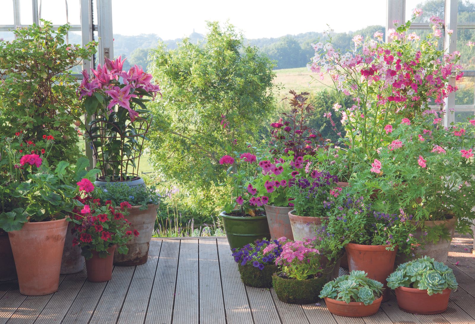 Deck planting ideas – using beds, planters and living walls | Homes and ...