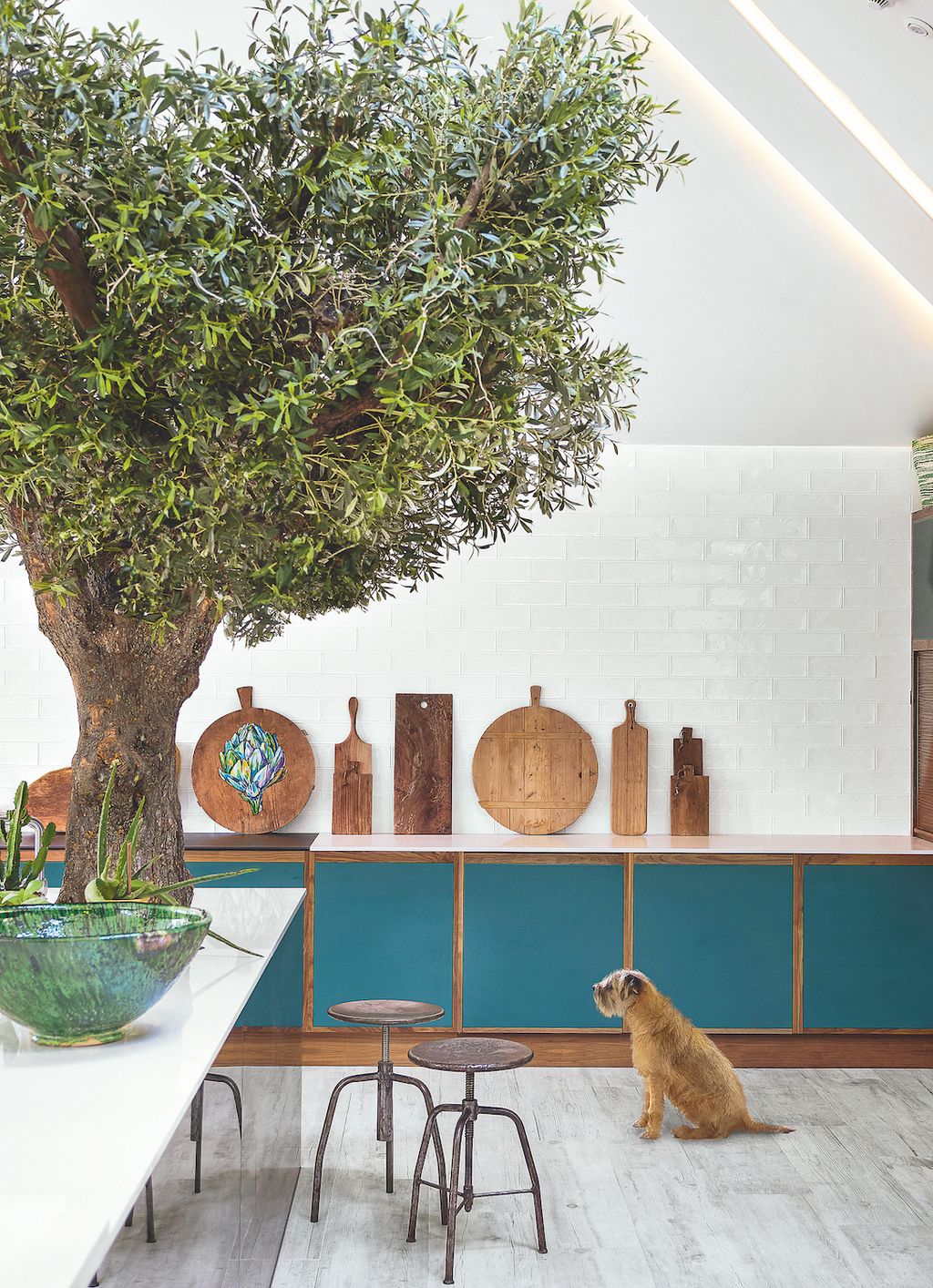 Decorating with plants – inspiring ways to use plants in interior ...