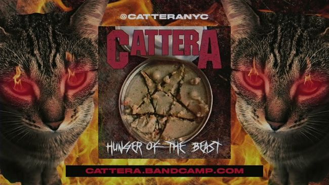 There's a cat-fronted metal band called Cattera and you need to listen ...