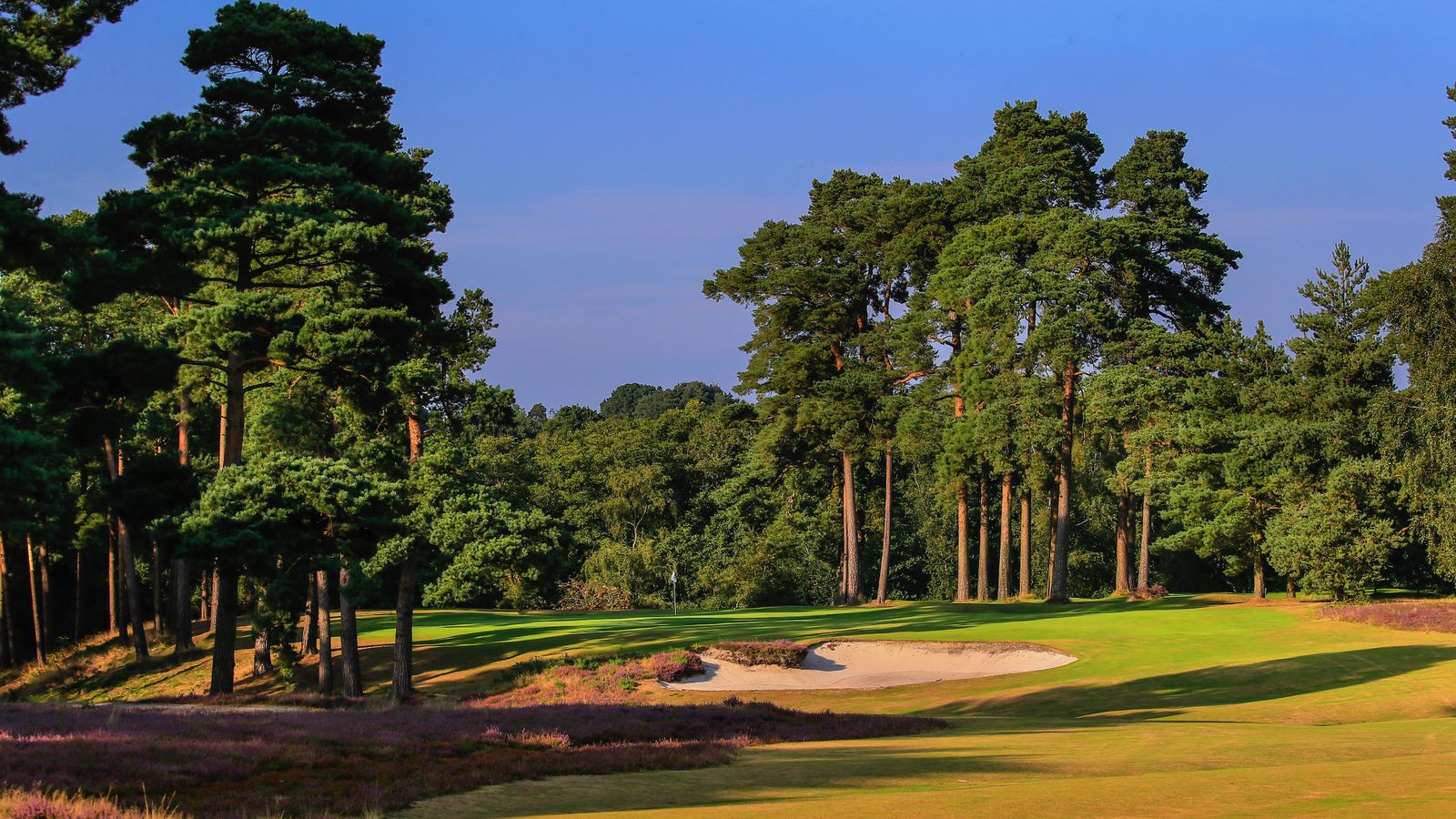 Best Golf Courses In Sussex | Golf Monthly