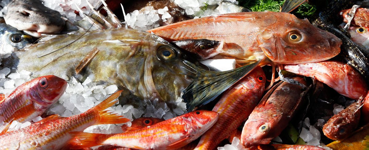 London’s best fish and seafood restaurants | The Week