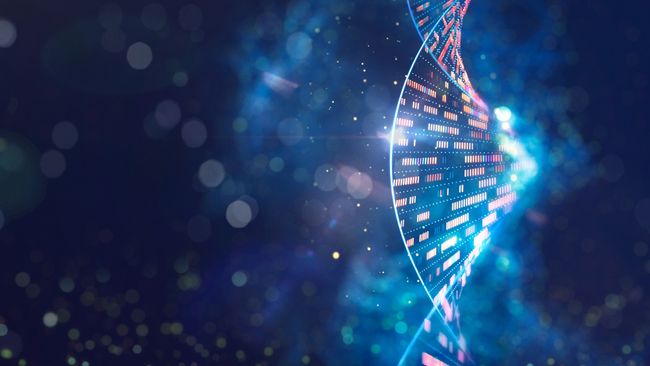 How do DNA tests tell if two people are related? | Live Science