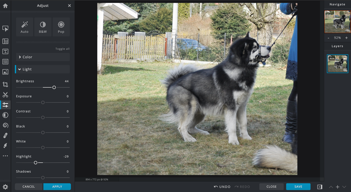 The best online photo editors 2022: edit photos in your web browser ...