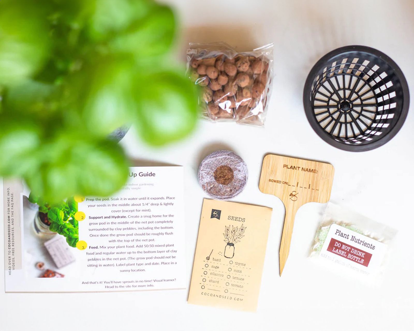 How To Grow Basil In Water : Try Easy, No-Mess Hydroponics | Gardening ...