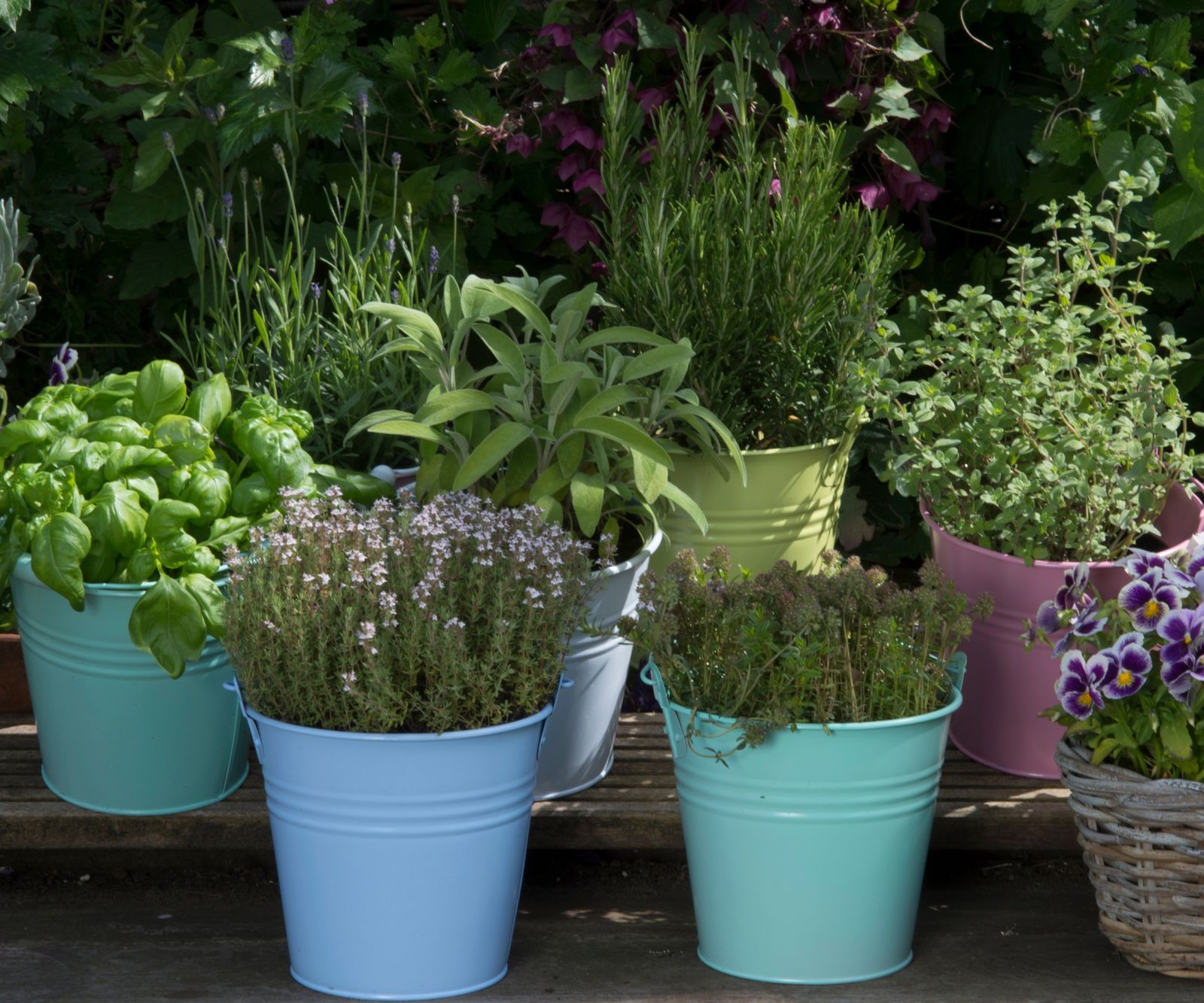A beginner's guide to bucket gardening, with advice from experts ...
