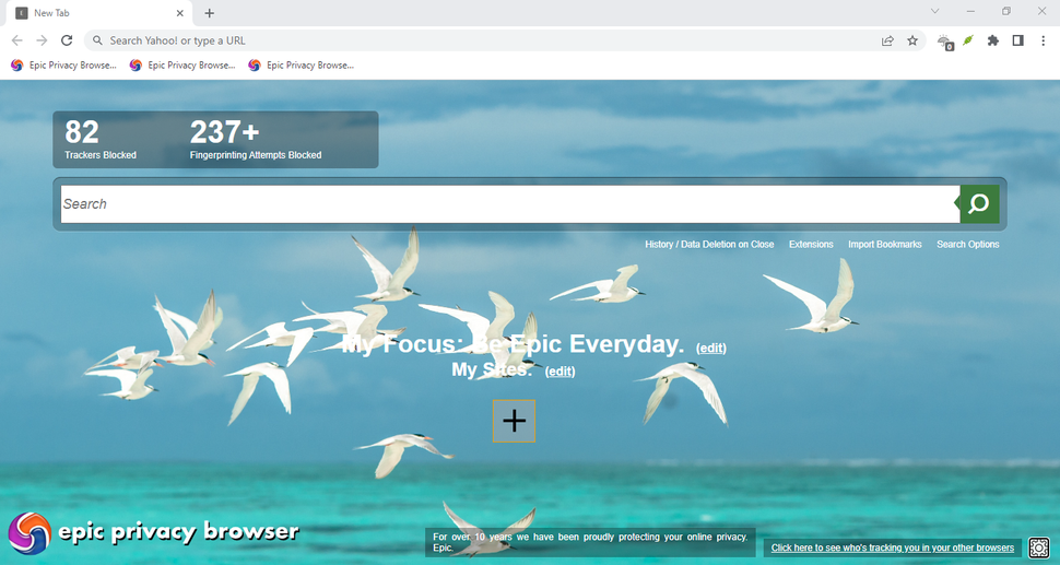The Best Web Browsers for 2025: Expert Recommendations for a Superior ...