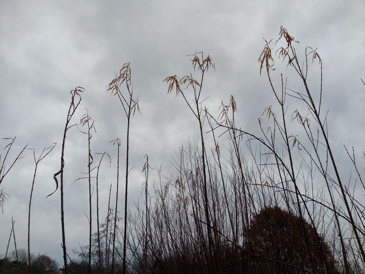 Battery life and camera - STK X2 review - Page 2 | TechRadar