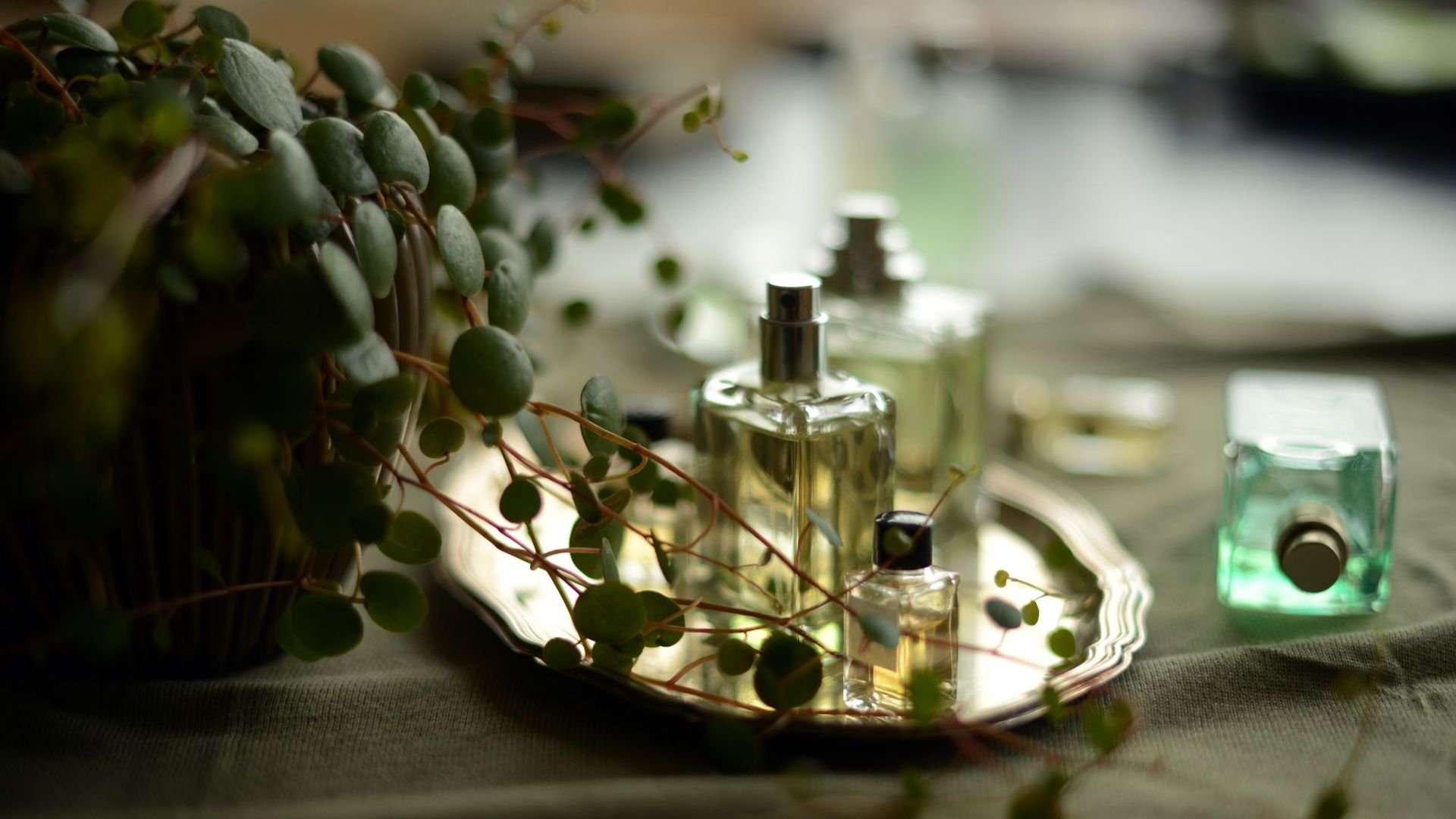 My 6 most complimented perfumes as a beauty editor | Marie Claire UK