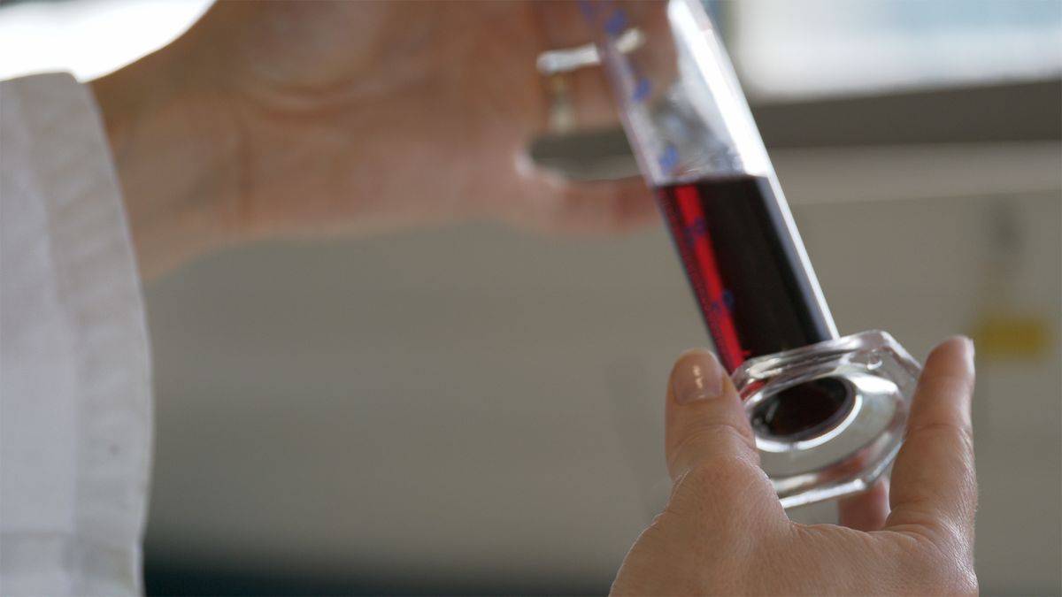 Red wine in space may age faster than on Earth, study finds | Space