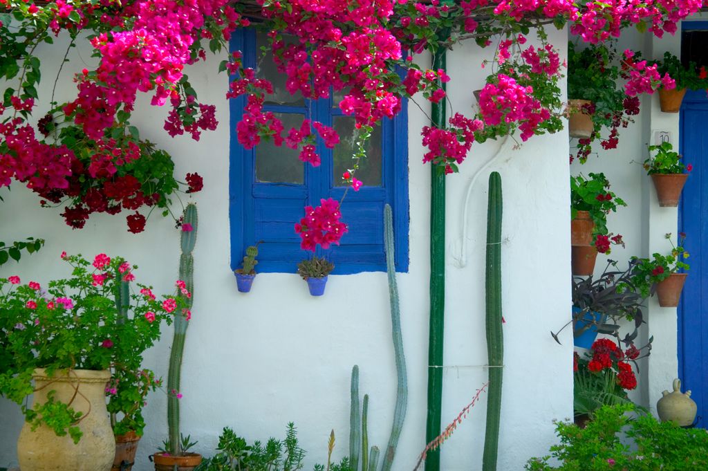 Mediterranean garden ideas: 12 design and planting tips | Homes and Gardens