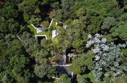 Tour this treetop house in a Brazilian forest | Wallpaper*