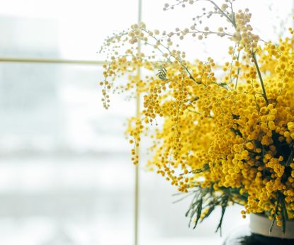 The most romantic spring flowers to give on Valentine's Day | Homes and ...