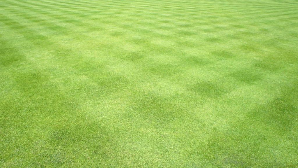 The best mowing pattern for healthy grass and a lush lawn | Homes and ...