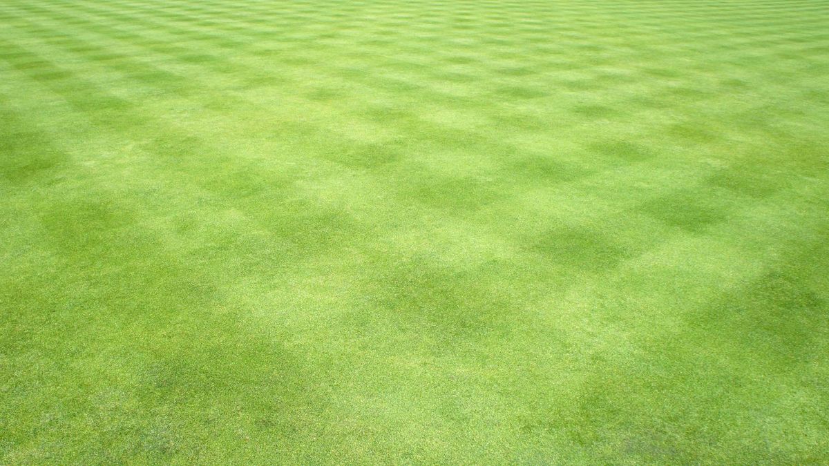 The best mowing pattern for healthy grass and a lush lawn | Homes and ...