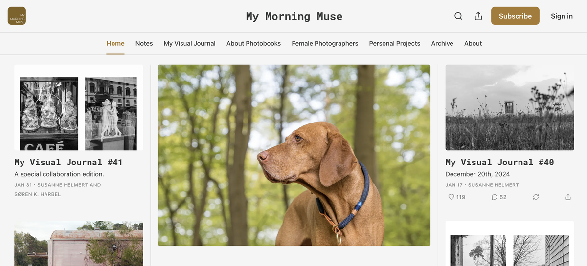 10 photographers you should be following on Substack | Digital Camera World