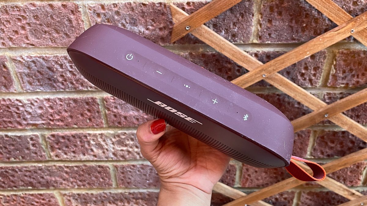Bose SoundLink Flex review | What Hi-Fi?