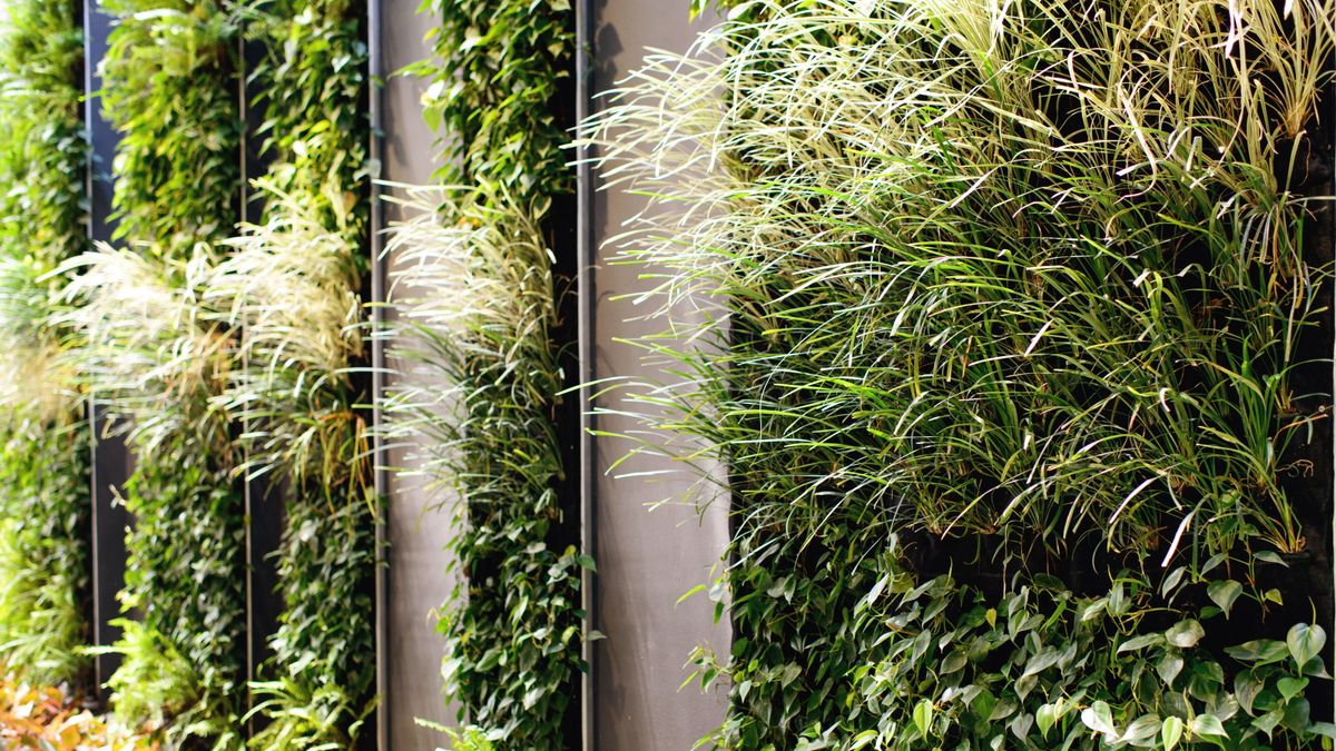 How to create a vertical garden in your outside space | Homes and Gardens