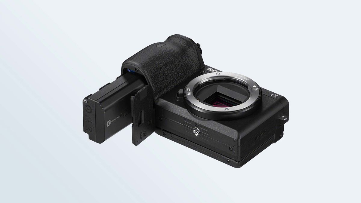 Sony Alpha a6600 review | Tom's Guide