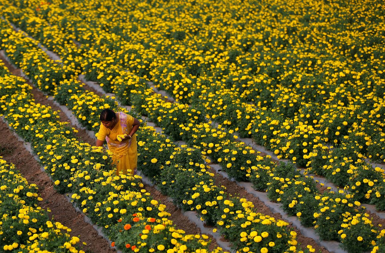 The week's best photojournalism | The Week