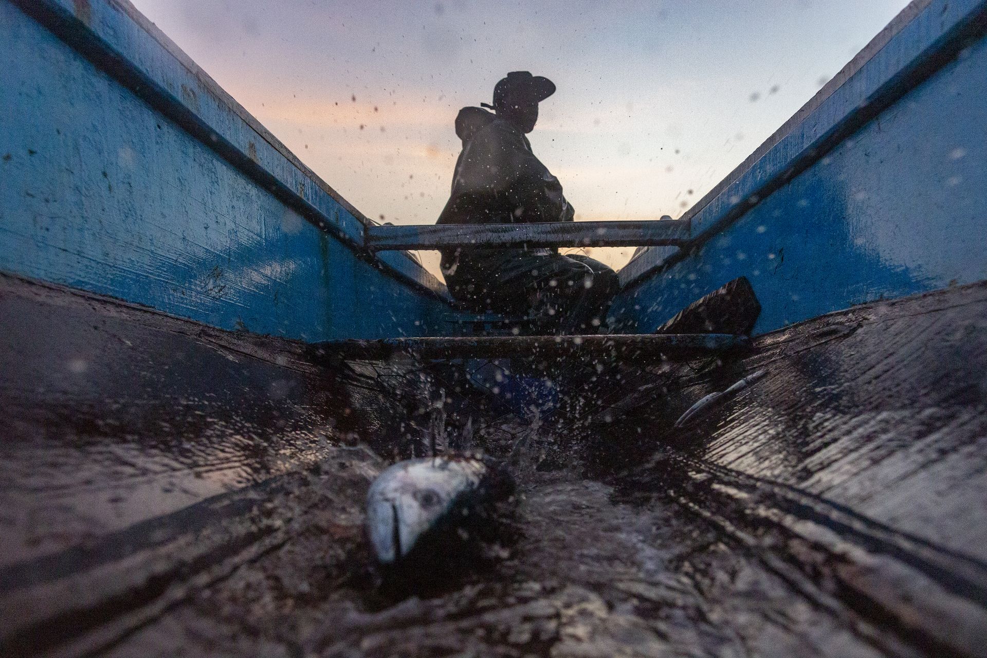 The week's best photojournalism | The Week