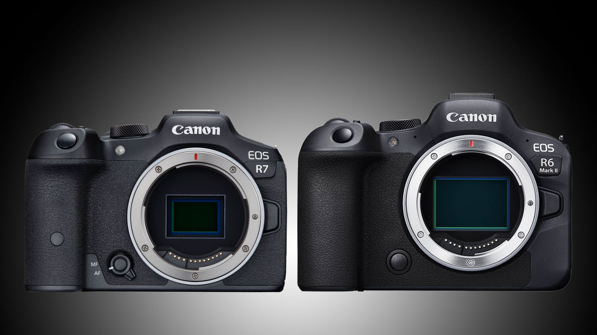 APS-C vs full frame: what you need to know to help you choose the right camera | TechRadar