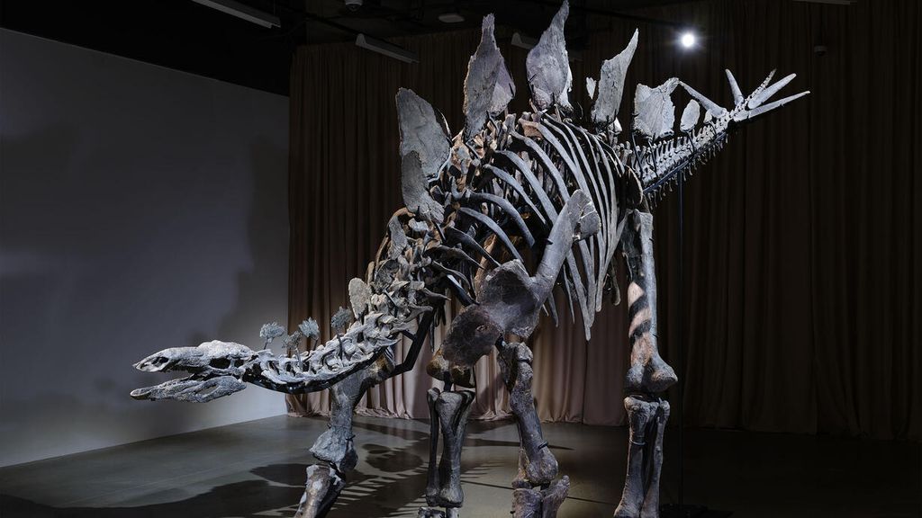 Most expensive dinosaur skeleton ever now on display in New York City ...