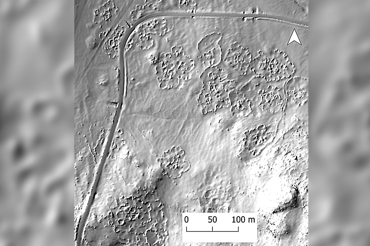 Lost City in South Africa Discovered Hiding Beneath Thick Vegetation ...