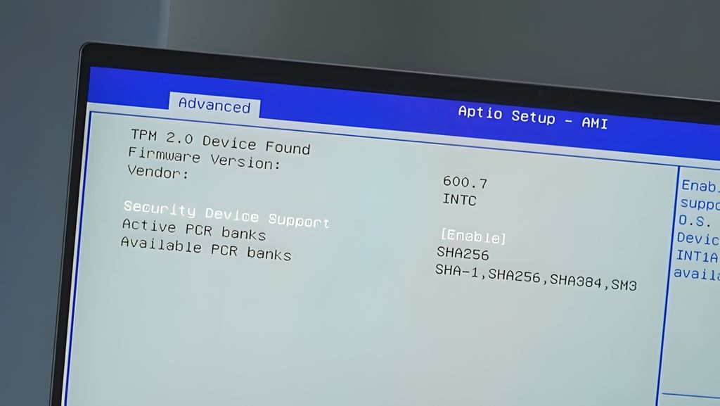 How to enable the Trusted Platform Module (TPM) on your computer ...