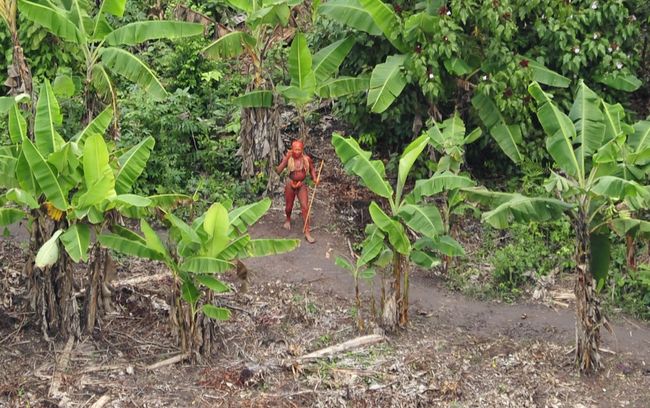 Gallery: Images of Uncontacted Tribes | Live Science