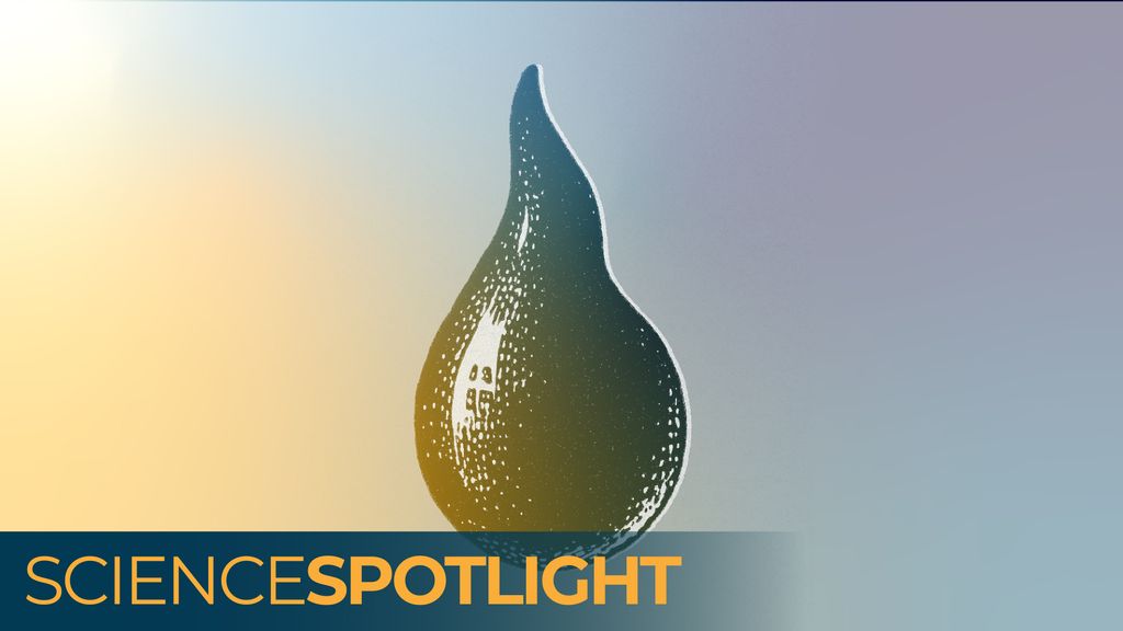 Live Science | Latest science news and articles for those with curious ...