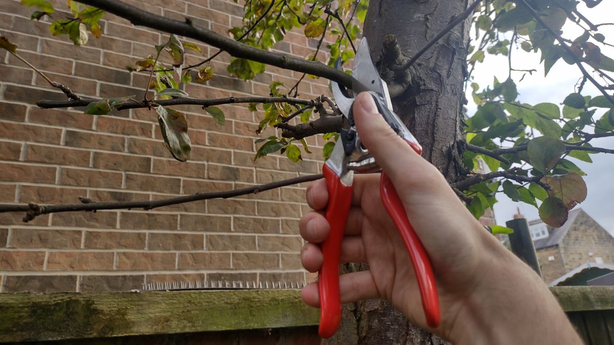 Best pruners 2024 | 9 recommended pruning shears for your yard | Top Ten Reviews