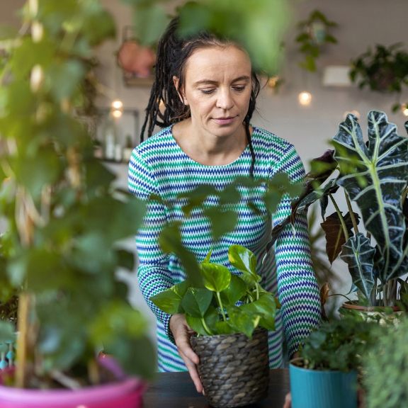 A Passion For Houseplants: How I Became A Houseplant Hoarder Early On ...