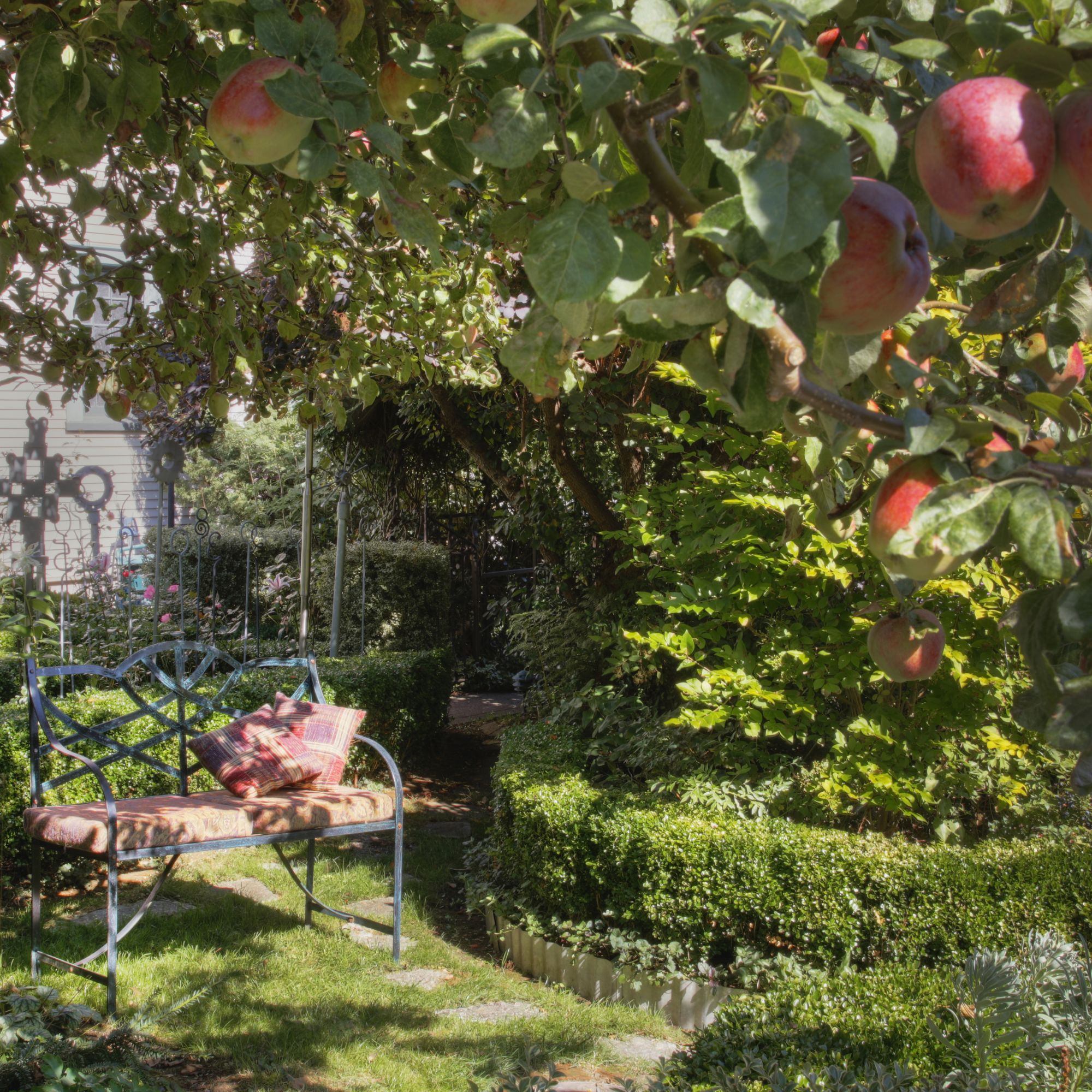 9 best fruit and vegetables to sow in November | Ideal Home