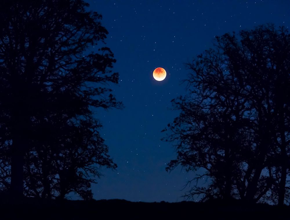 Blood Red Supermoon Stunning in Dark Skies of New U.S. Park | Space