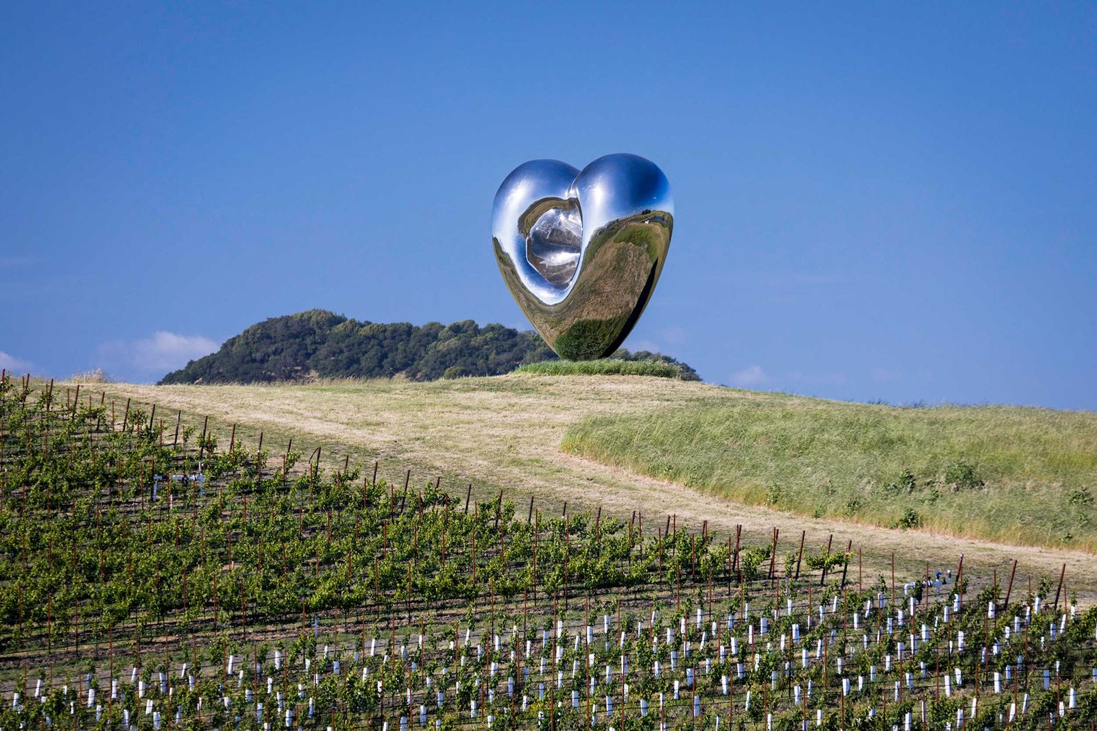 The best outdoor art installations: a global guide | Wallpaper*