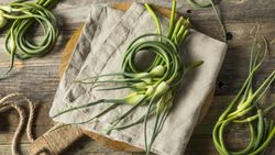 When and how to harvest broccoli rabe for top yields | Homes and Gardens
