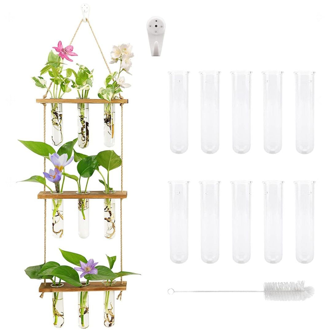What is a propagation station? A comprehensive guide | Ideal Home