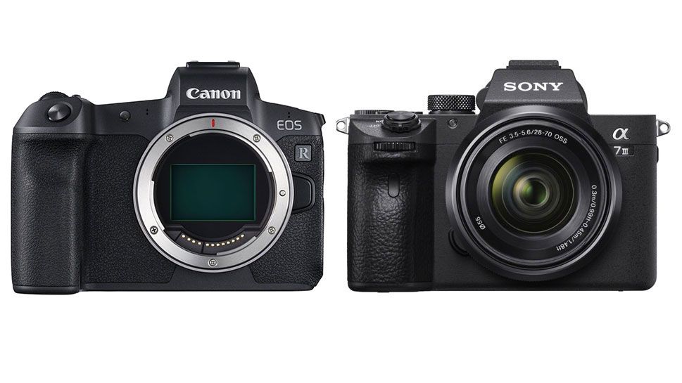 Canon EOS R vs Sony A7iii | Digital Camera World