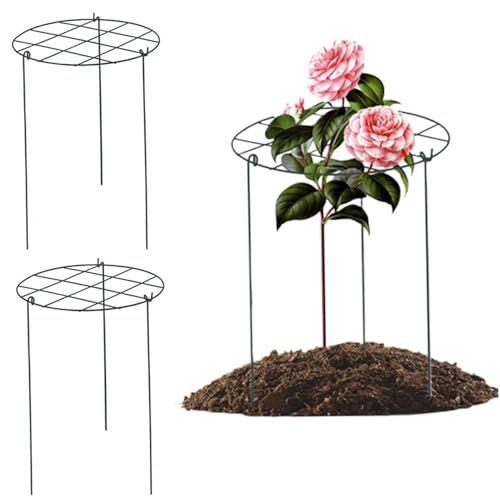 How to support peonies: 7 ways to stop them flopping over | Homes and ...