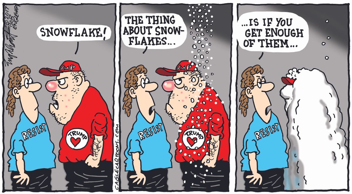 Editorial Cartoon U.S. Trump supporter protestor Liberal snowflake ...