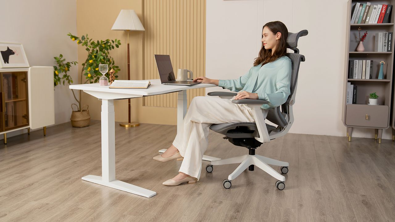FlexiSpot E7 Pro Standing Desk im Test: stark und optisch überzeugend ...