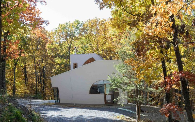 This tiny home is a 'geometric masterpiece' in a NY forest | Homes and ...