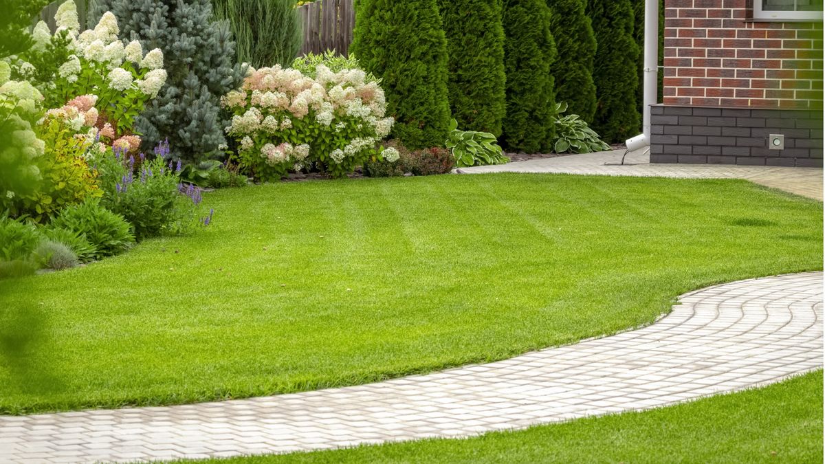 When to overseed your lawn in fall for lush grass every summer | Homes ...